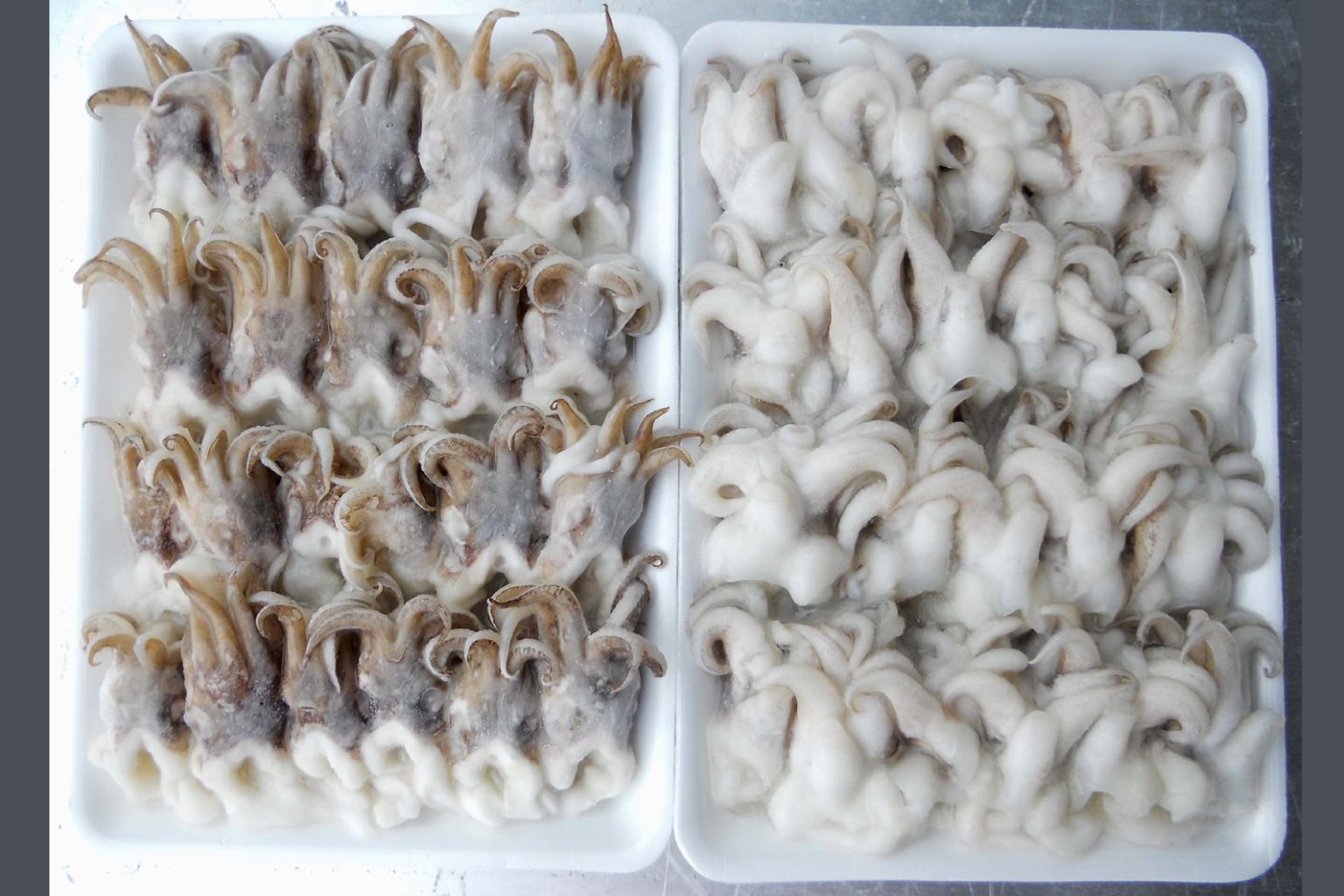 Products – Comay Seafood Factory