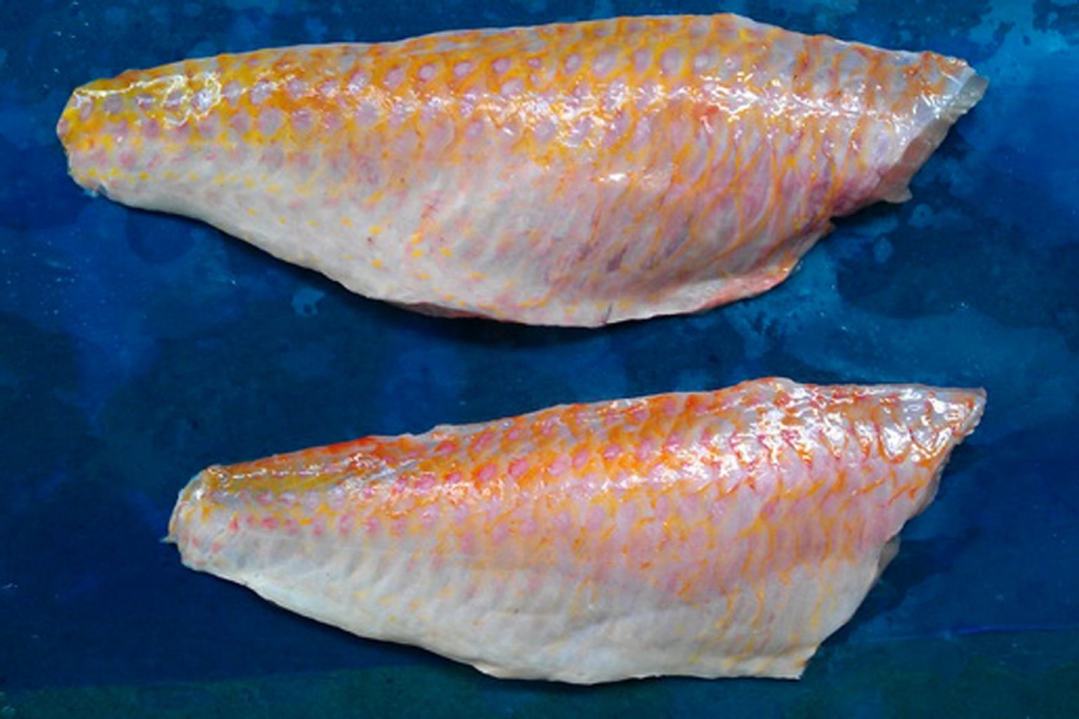 Products – Comay Seafood Factory