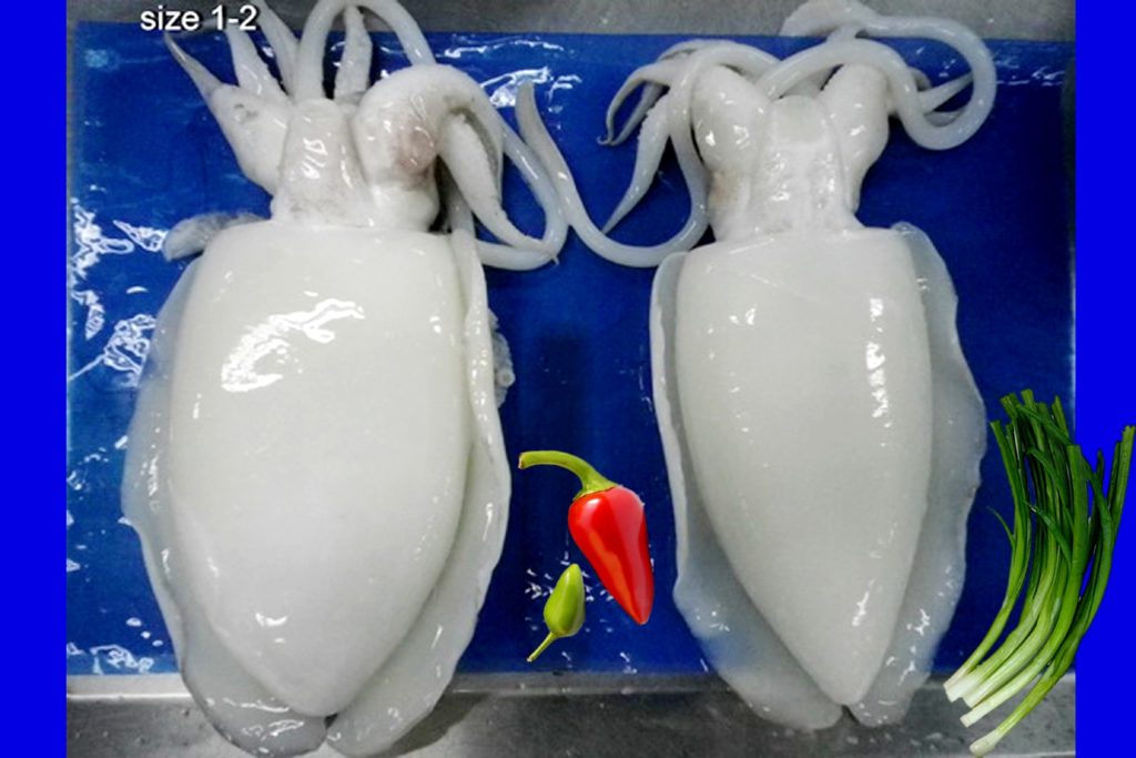 Products – Comay Seafood Factory