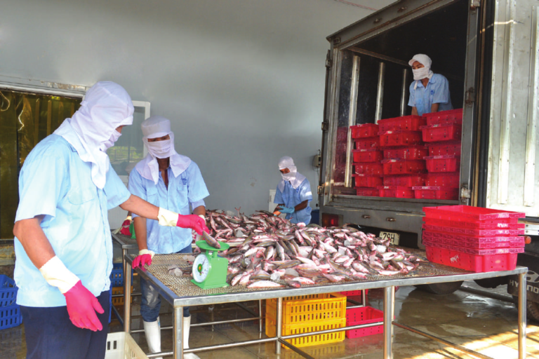 About Us – Comay Seafood Factory