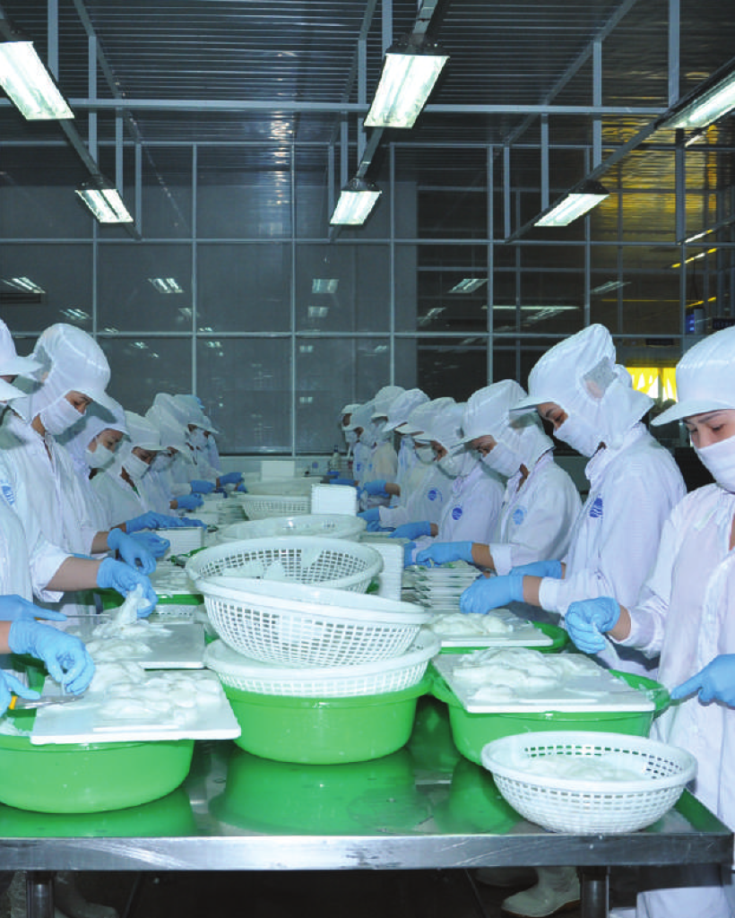 Comay Seafood Factory – Co May Seafood Joint Stock Company